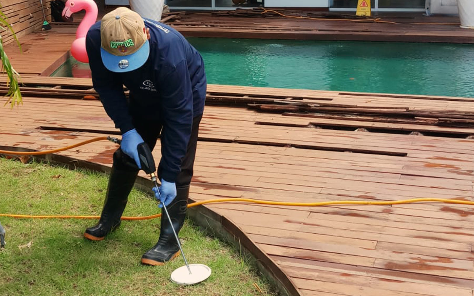 Termite and Pest Control Bali | T4P | Home & Business Solutions